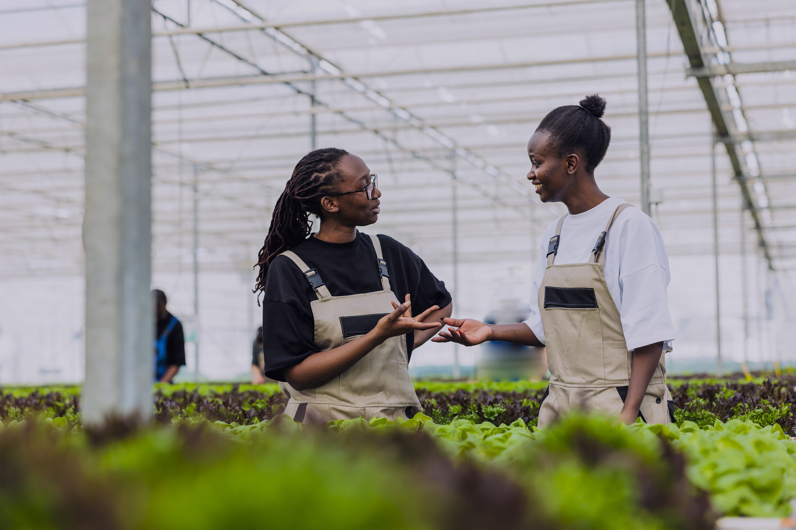 dfcu Foundation | Transforming Lives and Businesses.